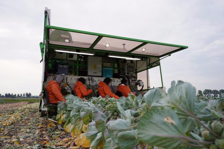 Diensten | Teroza.nl